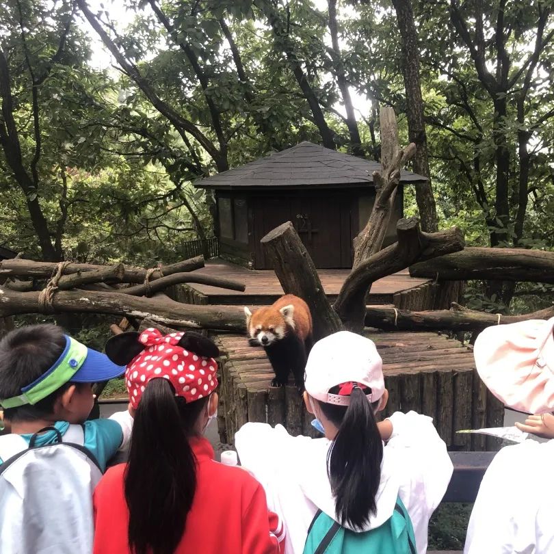 August · Review of Animal Enrichment Public Welfare Activities - iNEWS