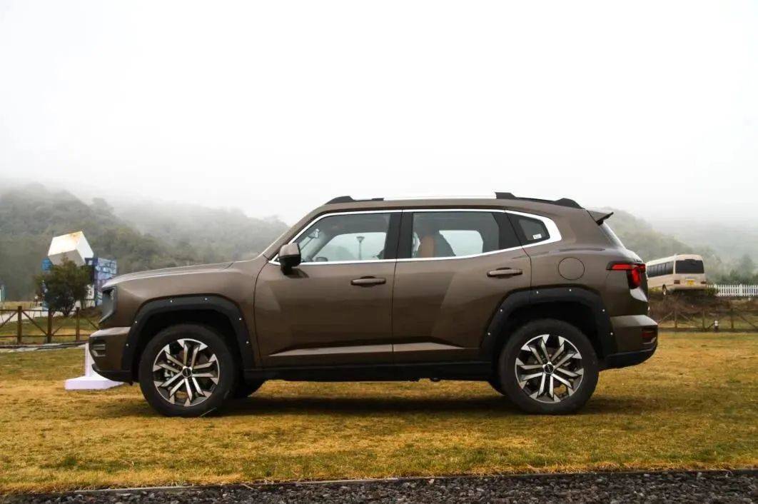 Bulldog Returns: What is the vitality of the second-generation Big Dog ...