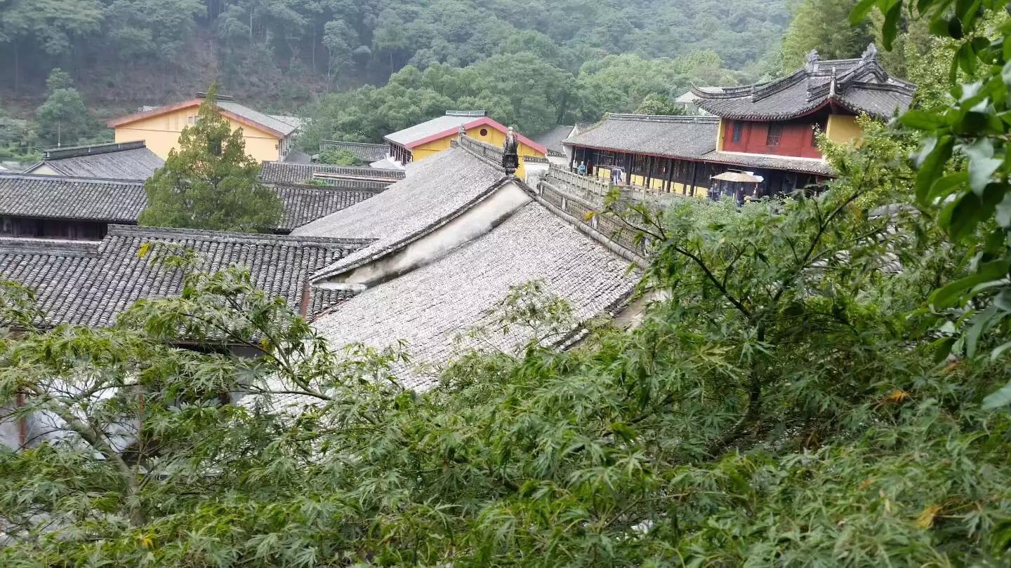 Tiantong Temple?? - iNEWS