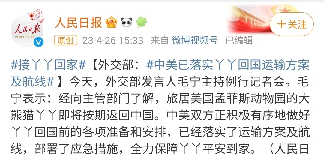 Yaya, the giant panda, has she really returned to China? - iNEWS