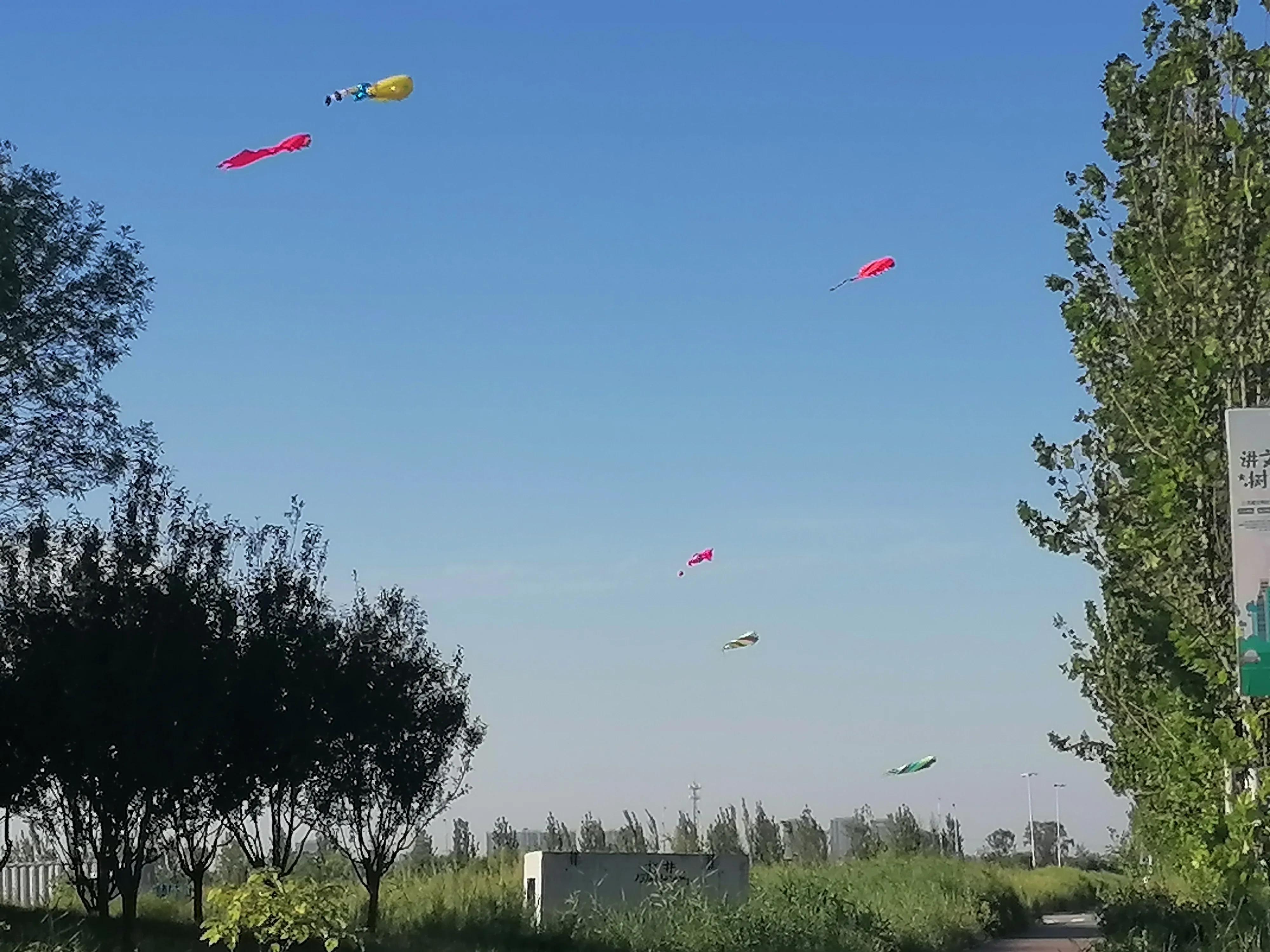 how beautiful the kite is - iNEWS