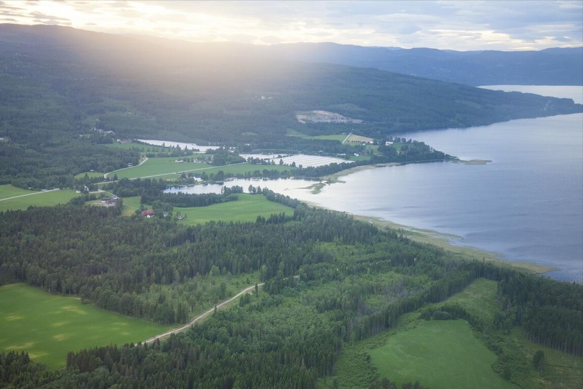 The kidney is weak and the kidney is ineffective?TCM: Did you make up ...