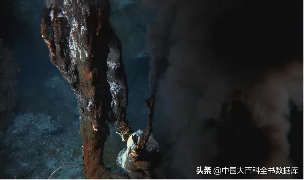 Submarine hot spring and cold spring ecosystem: deep sea secrets ...