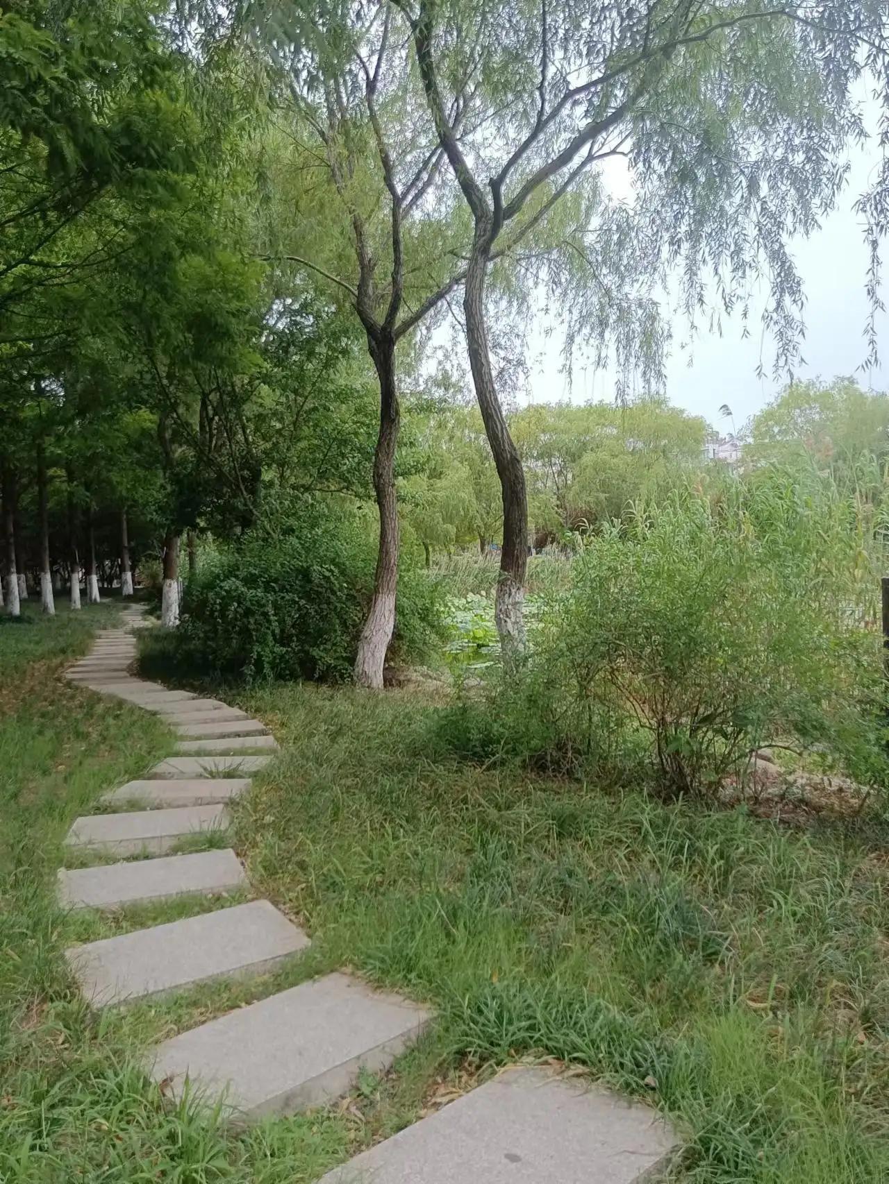 Recreation, "Impression of Beihe Park" - iNEWS