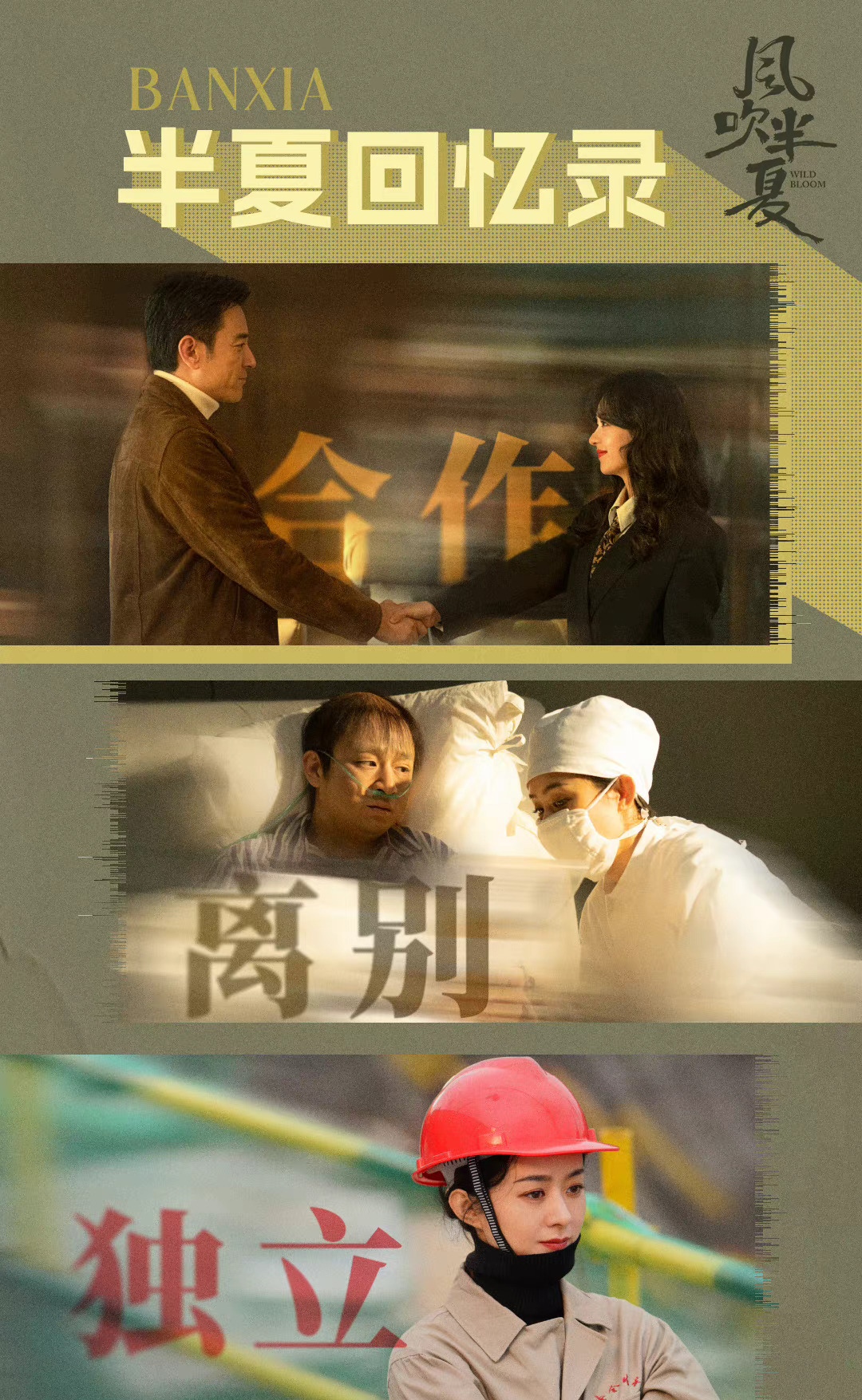 sharp![Wind Blowing Pinellia] Zhao Liying is so worth it for winning ...