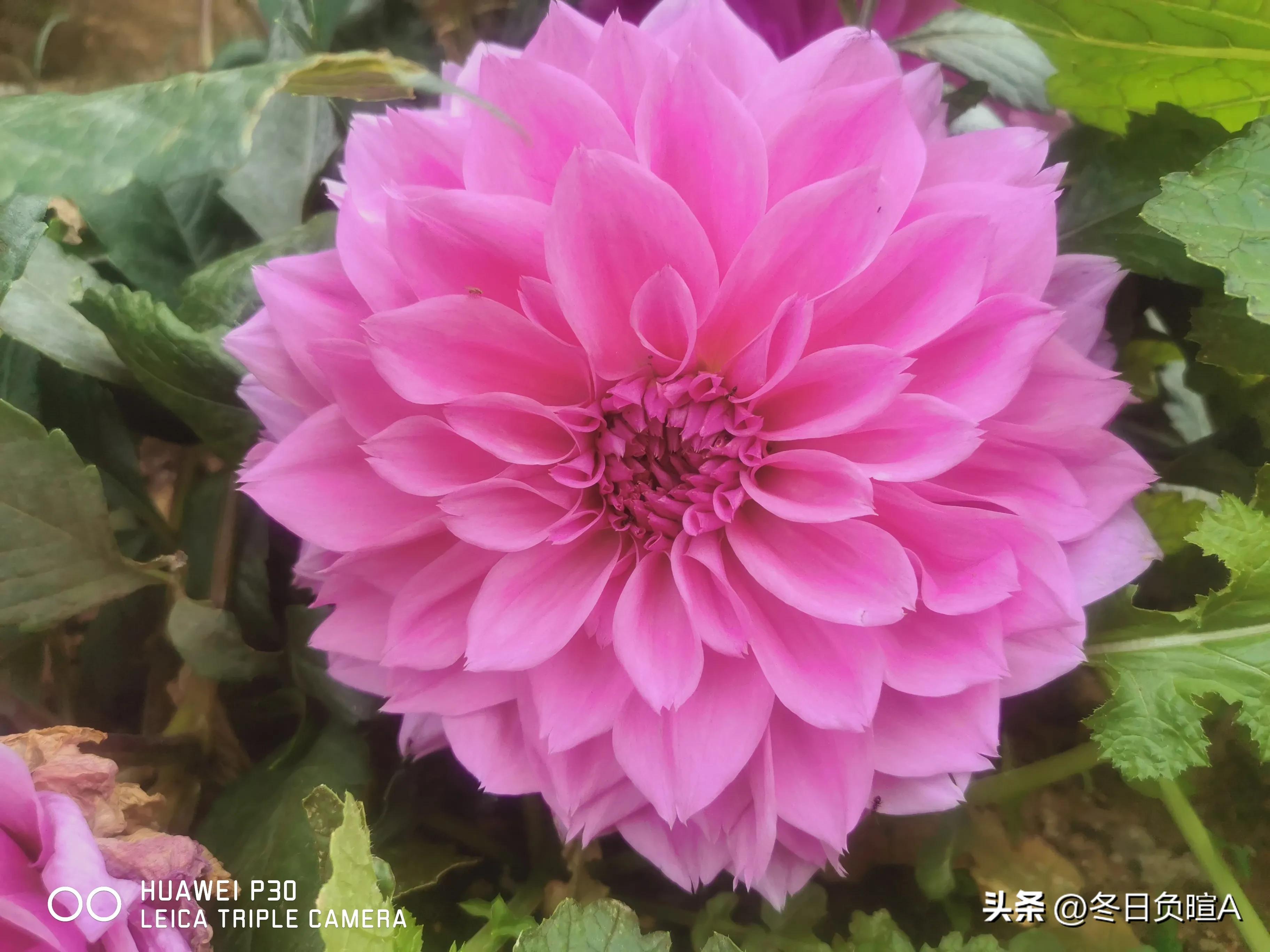 100 ancient poems about life - iNEWS