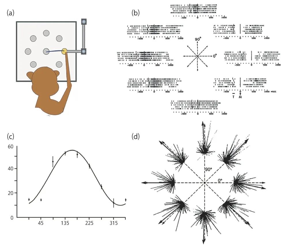 Brain-computer interface and motion prosthesis - iNEWS