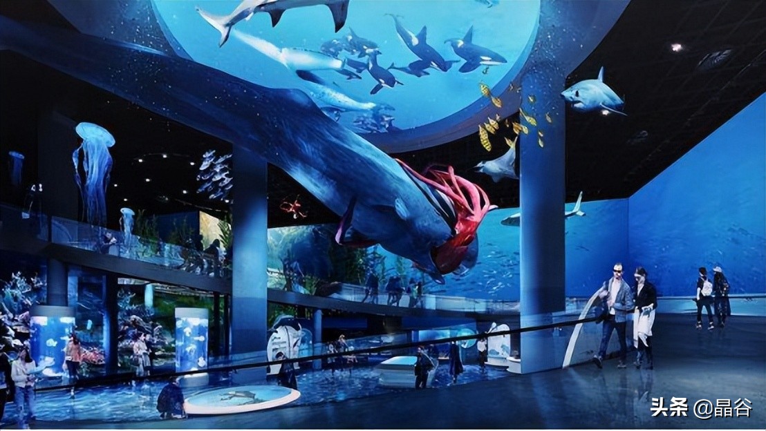Sea life scene lighting - iNEWS