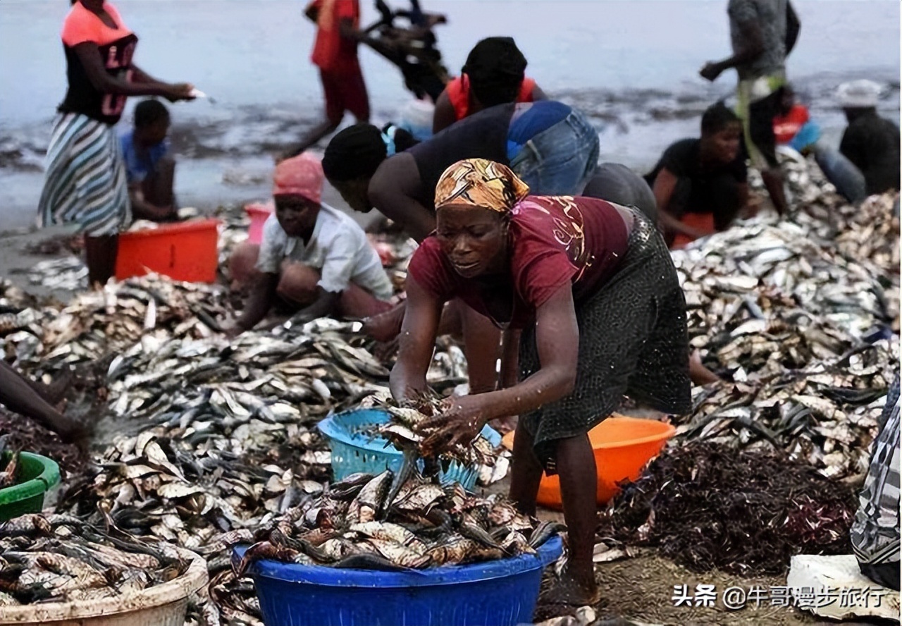 Why is the food that Africans don't eat become a "luxury" in China ...