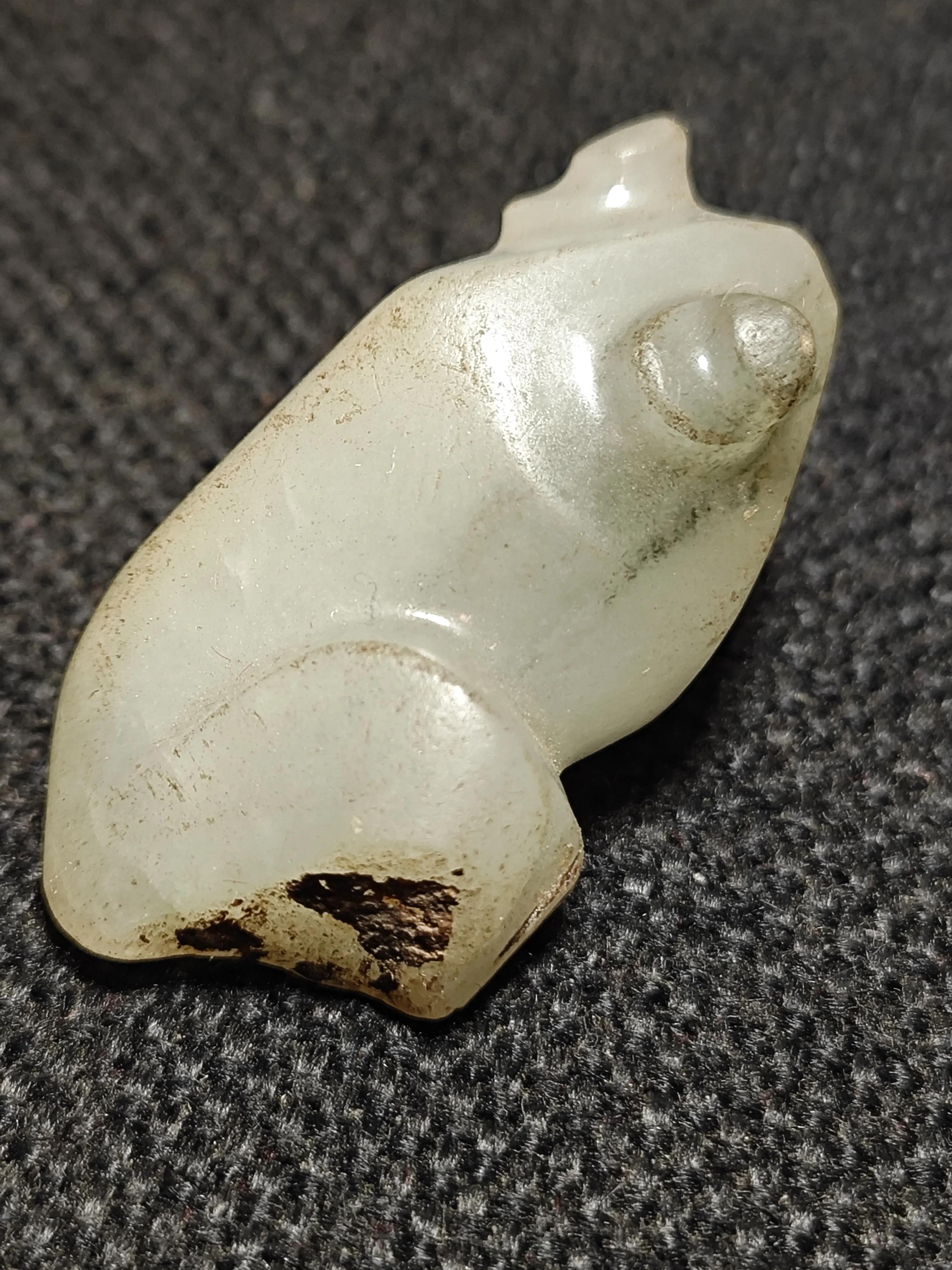 Have you ever seen a three-legged toad? - iNEWS