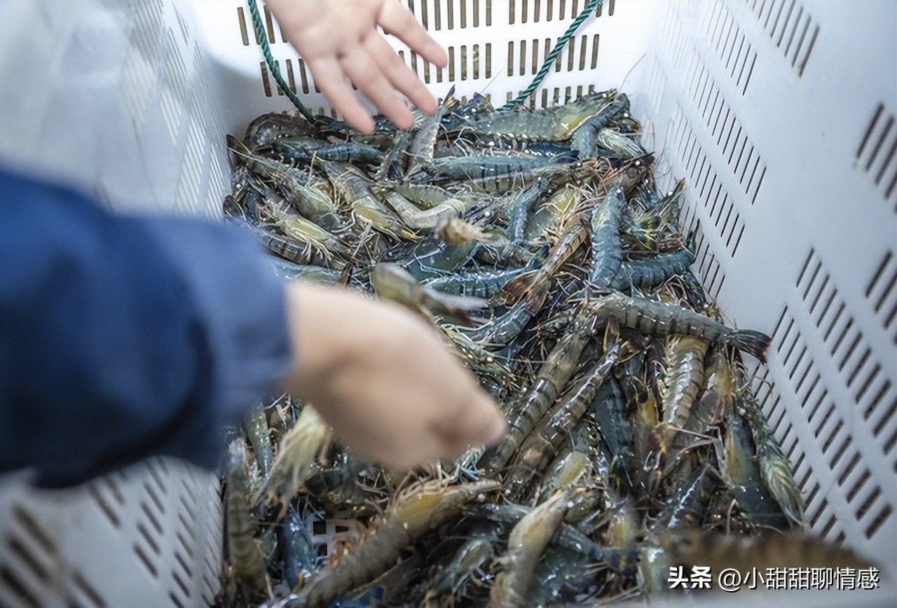 Xinjiang has grown seafood? Guarantee that there will be no shortage of ...