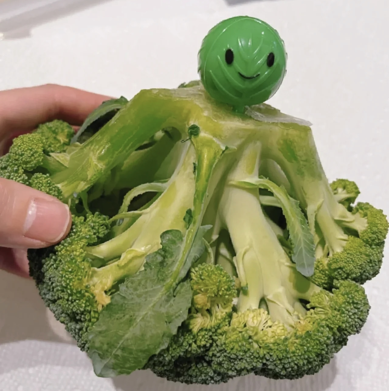 My mother complained that I bought some "weird stuff" and felt ...
