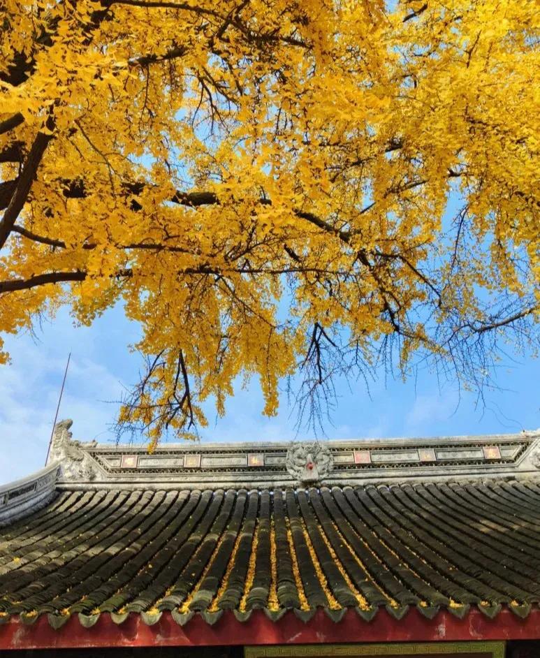 9 beautiful places to enjoy autumn in Suzhou, you must not miss it - iNEWS
