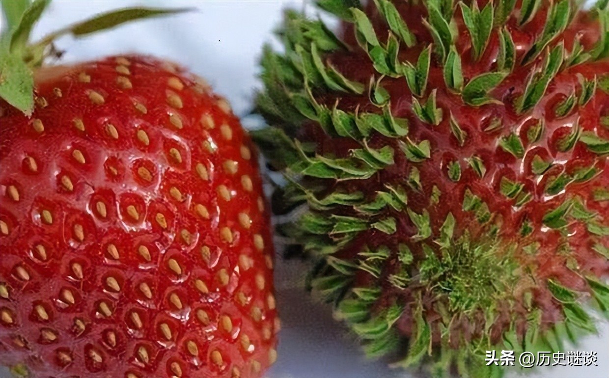 How terrible is the Fukushima nuclear leak in Japan?Just look at these ...