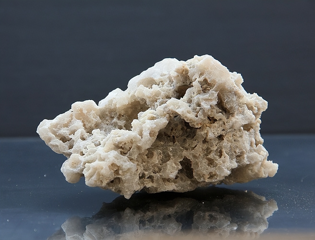 How to maintain Kunshi dim? - iMedia