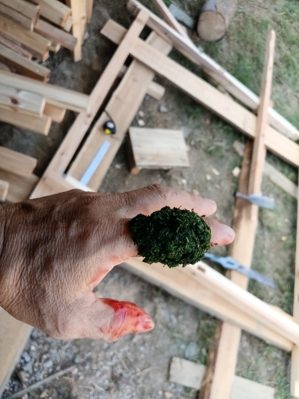 The cut to the bone is finally healed - iNEWS