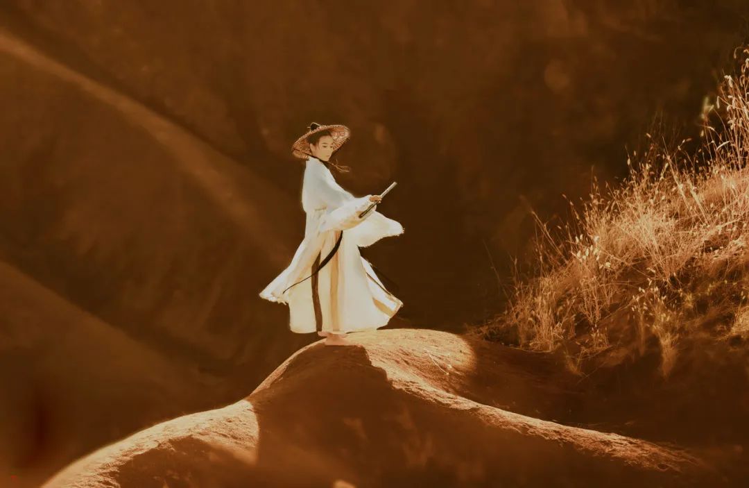 Understanding Zhuangzi's "Mountain Wood" Epiphany: The most important ...