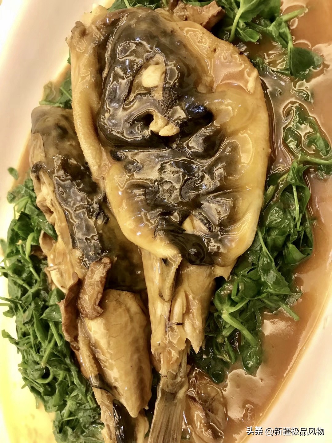 Tour Yangzhou: Pufferfish - iNEWS