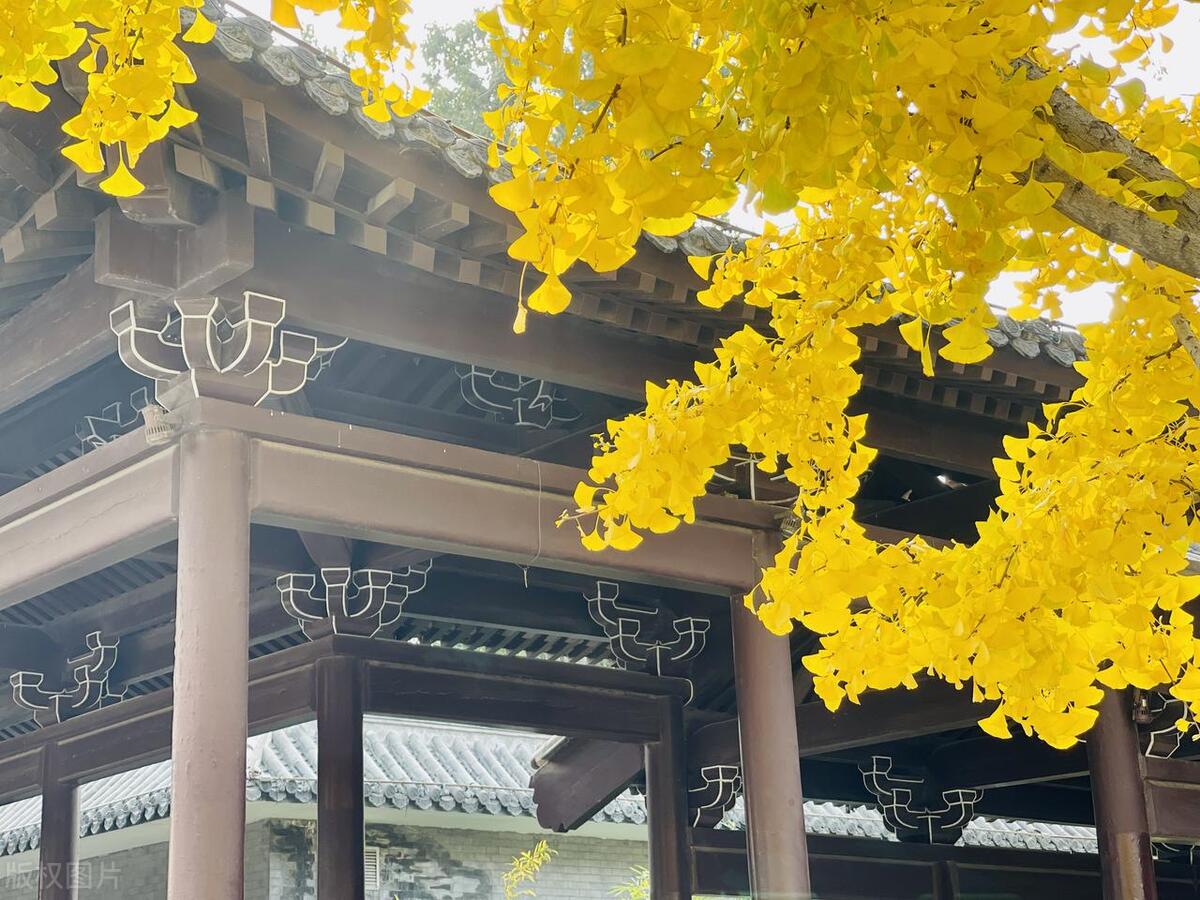 The rise of the Jurchens in the past and present of the Zhao and Song ...