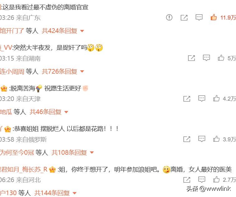 Hong Xin and Zhang Danfeng officially announced their divorce, and "Little San" Bi Ying ...