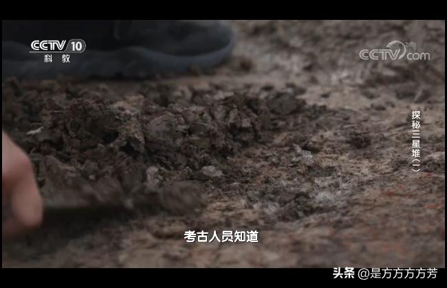 Exploring the Mystery of Sanxingdui ②: Ivory, golden masks... How ...