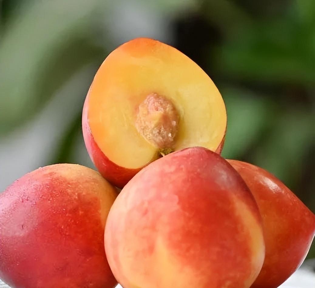 Chenyi Story: Shanxi open-air red-skinned and yellow-fleshed nectarines ...