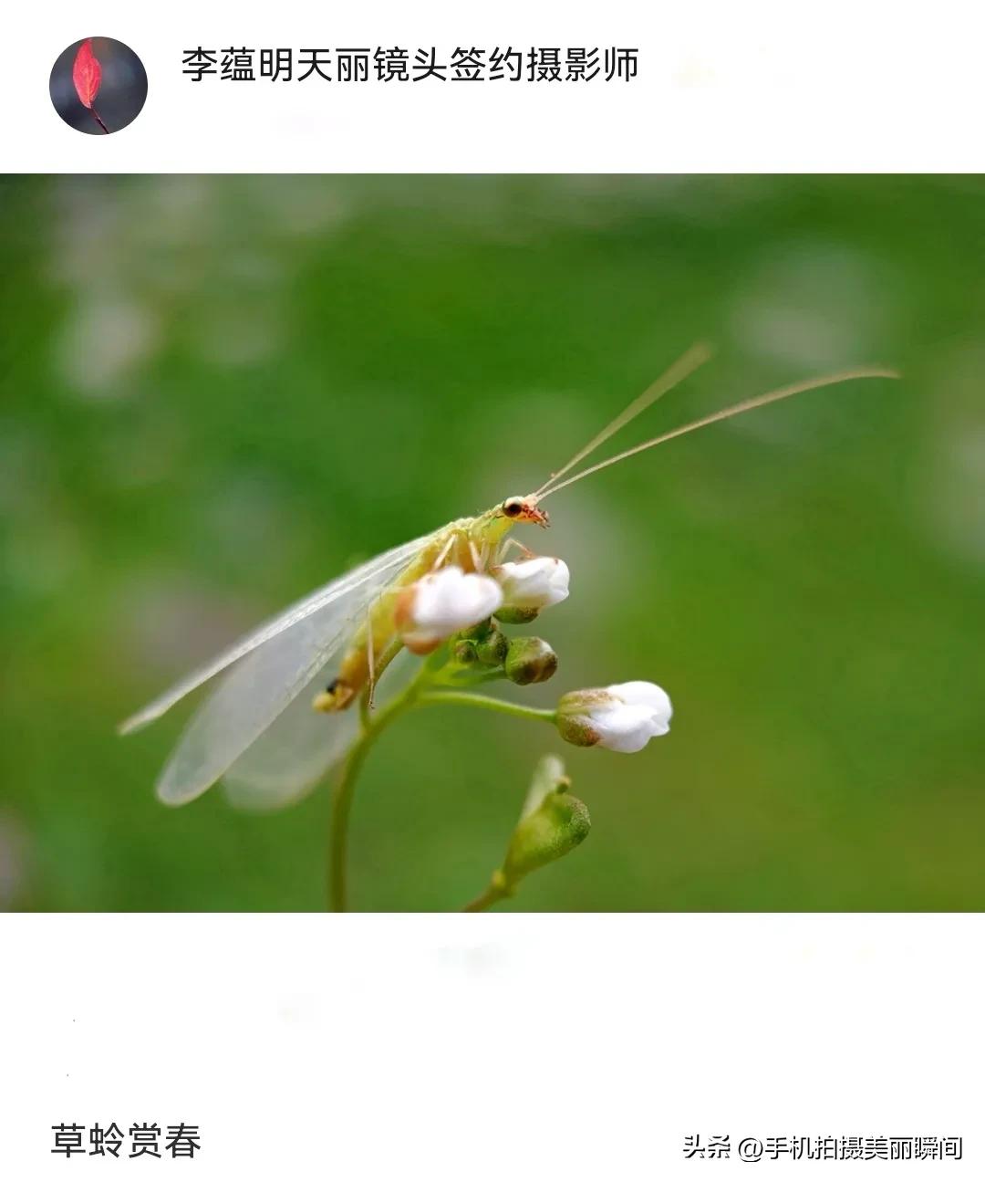 Mobile photography works enter the photography platform selection - iNEWS