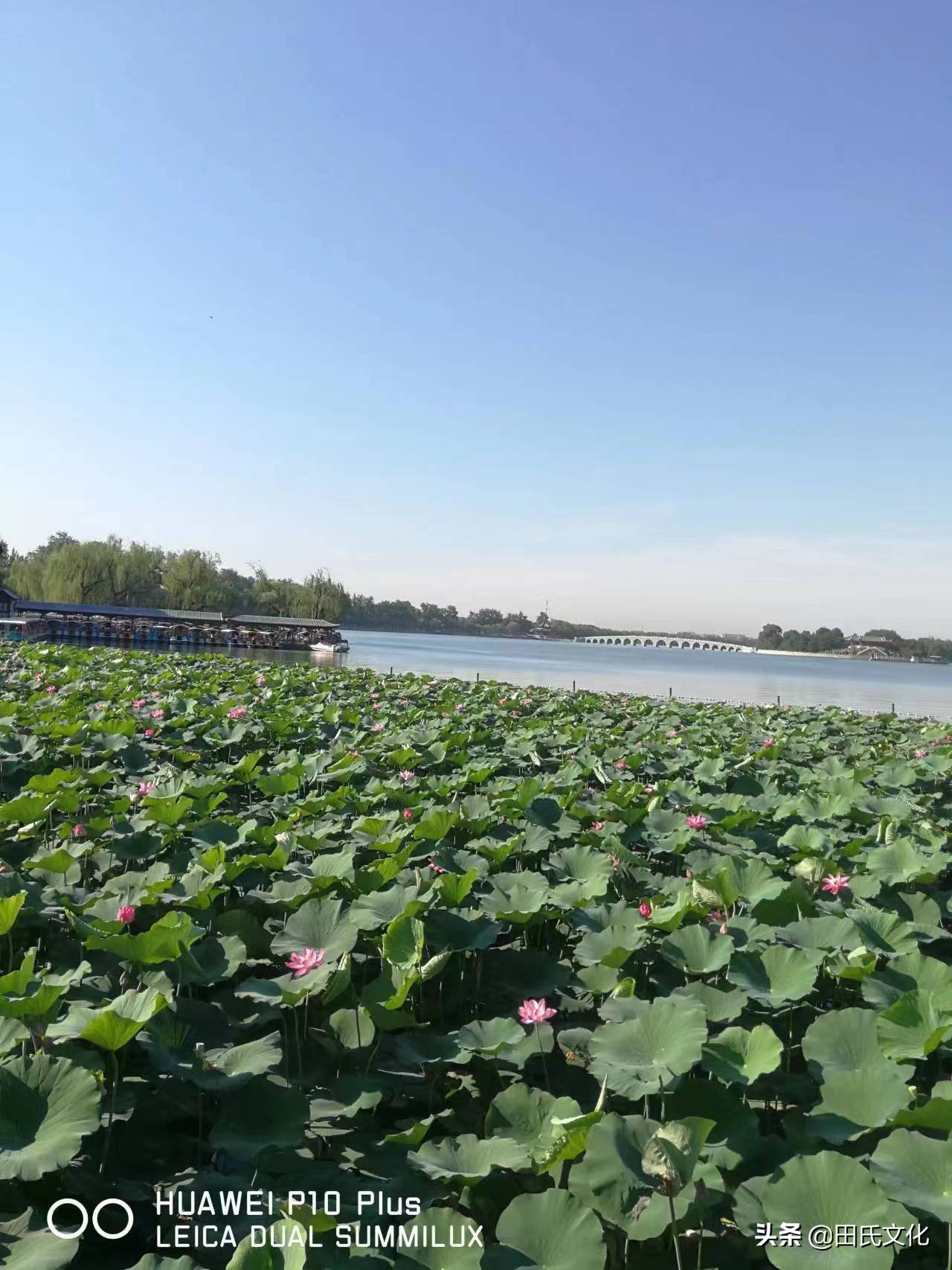 "Tian's Culture" Qinglian Fragrance / Tian Rengang - iNEWS