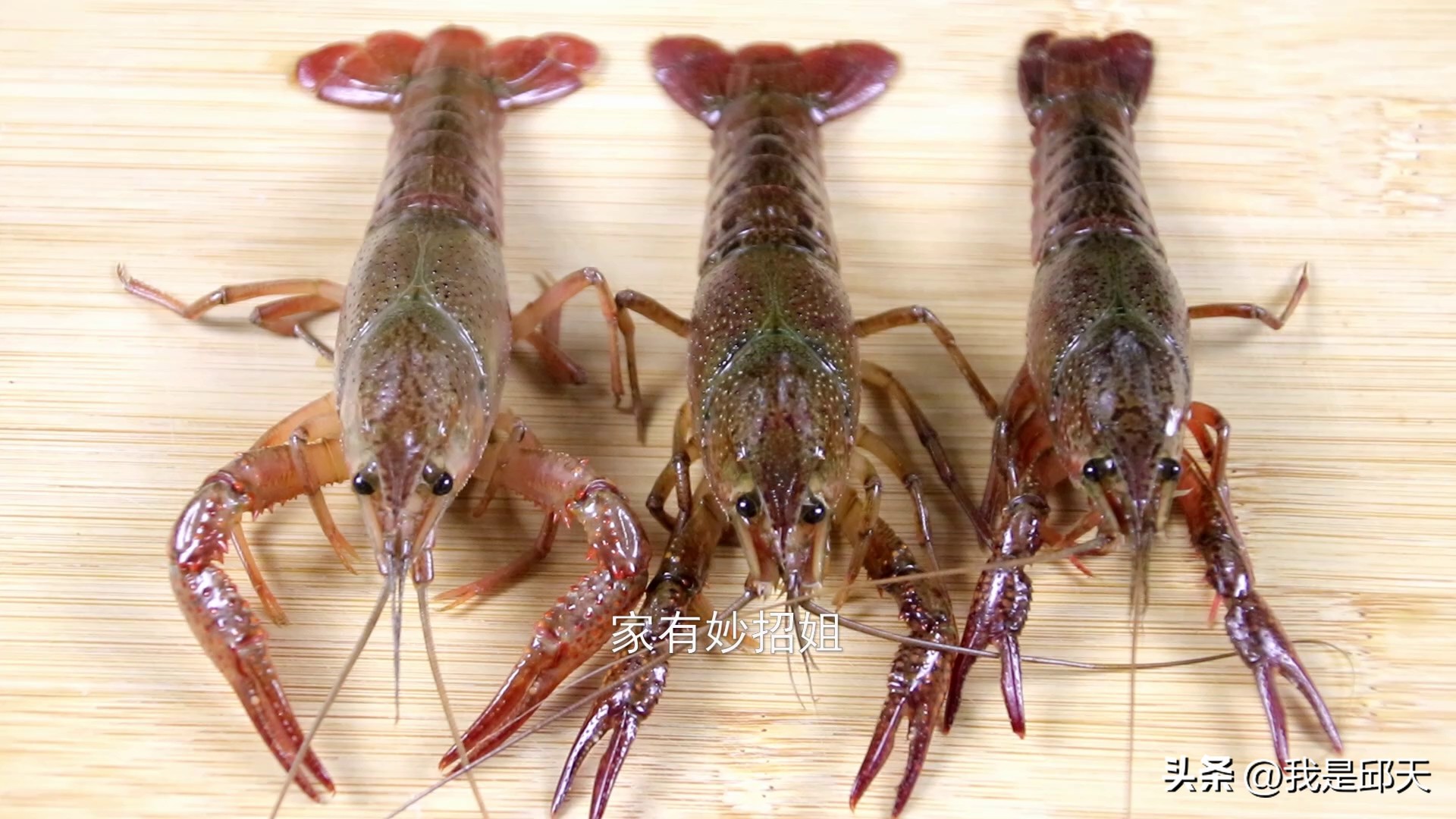 What is the difference between blue-shelled and red-shelled crayfish ...