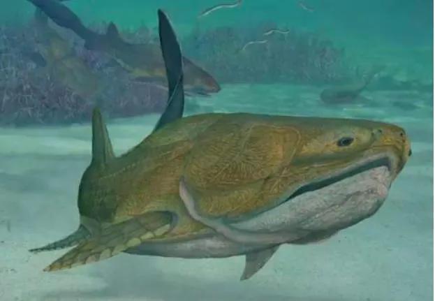 The biggest scam of human origin, we were really a fish 300 million ...