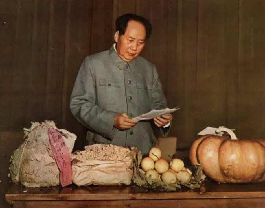 On the eve of the war against Vietnam, Liu Bocheng and Su Yu were both alive. Why did Deng ...