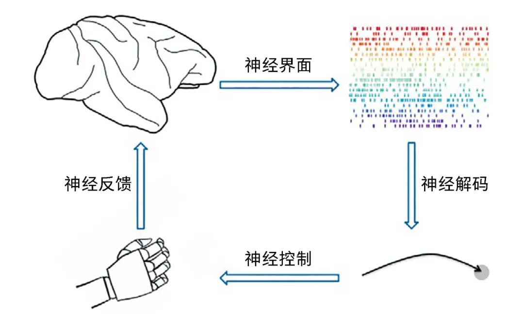 How can humans control machines with their minds? - iMedia