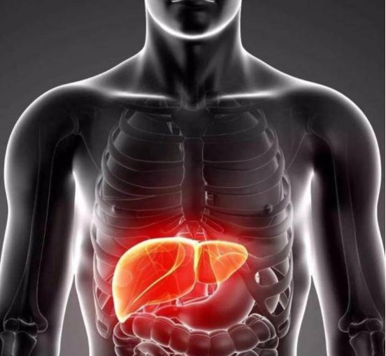 Is it bad for the liver to "fart" often?Reminder: Farting a lot, or ...