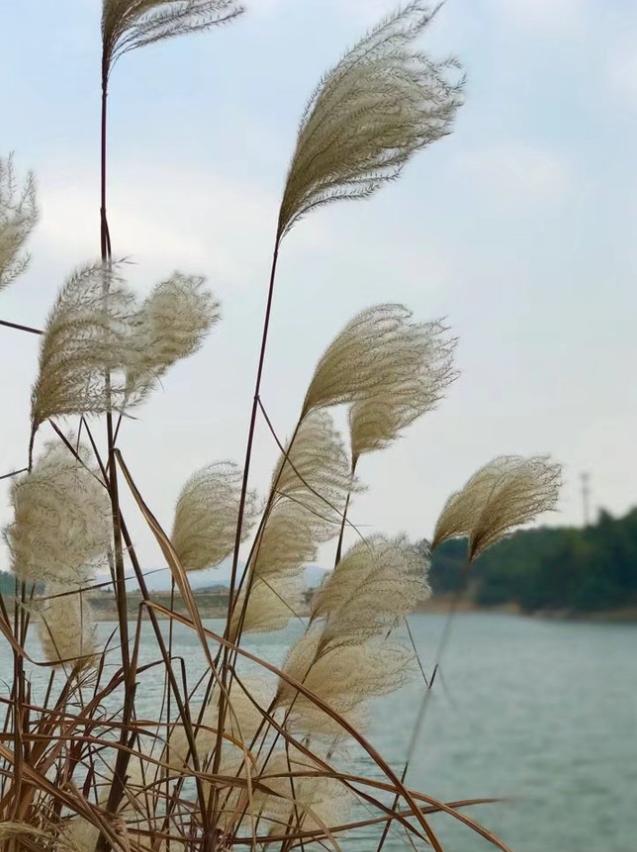 Du Mu missed the romantic and happy life in Yangzhou, and wrote a poem ...