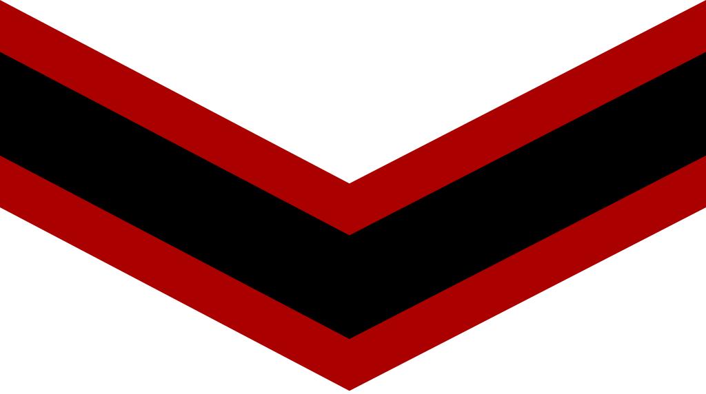 Myanmar Police Rank Mark - iNEWS