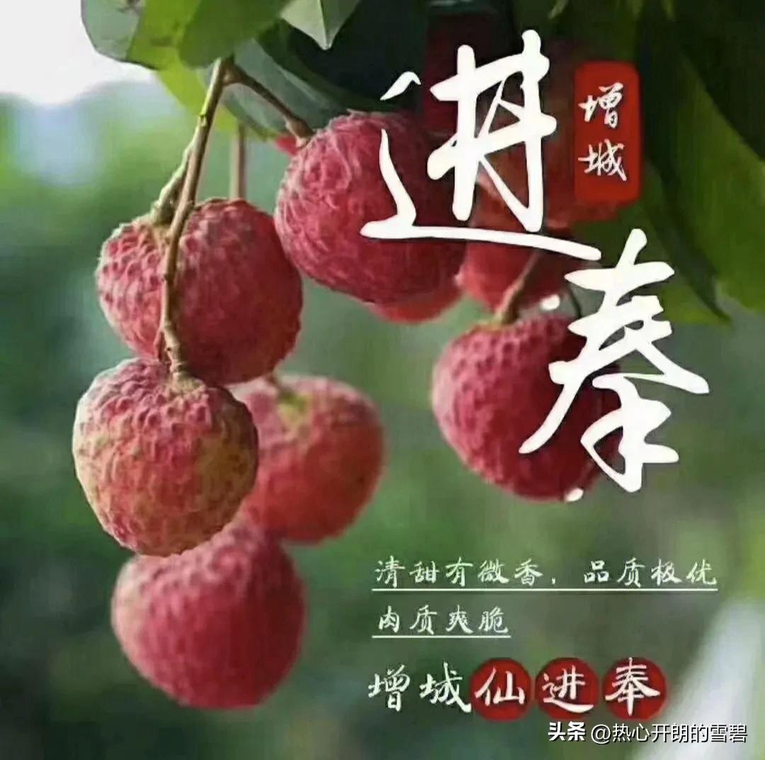 Chinese super fruit - iMedia