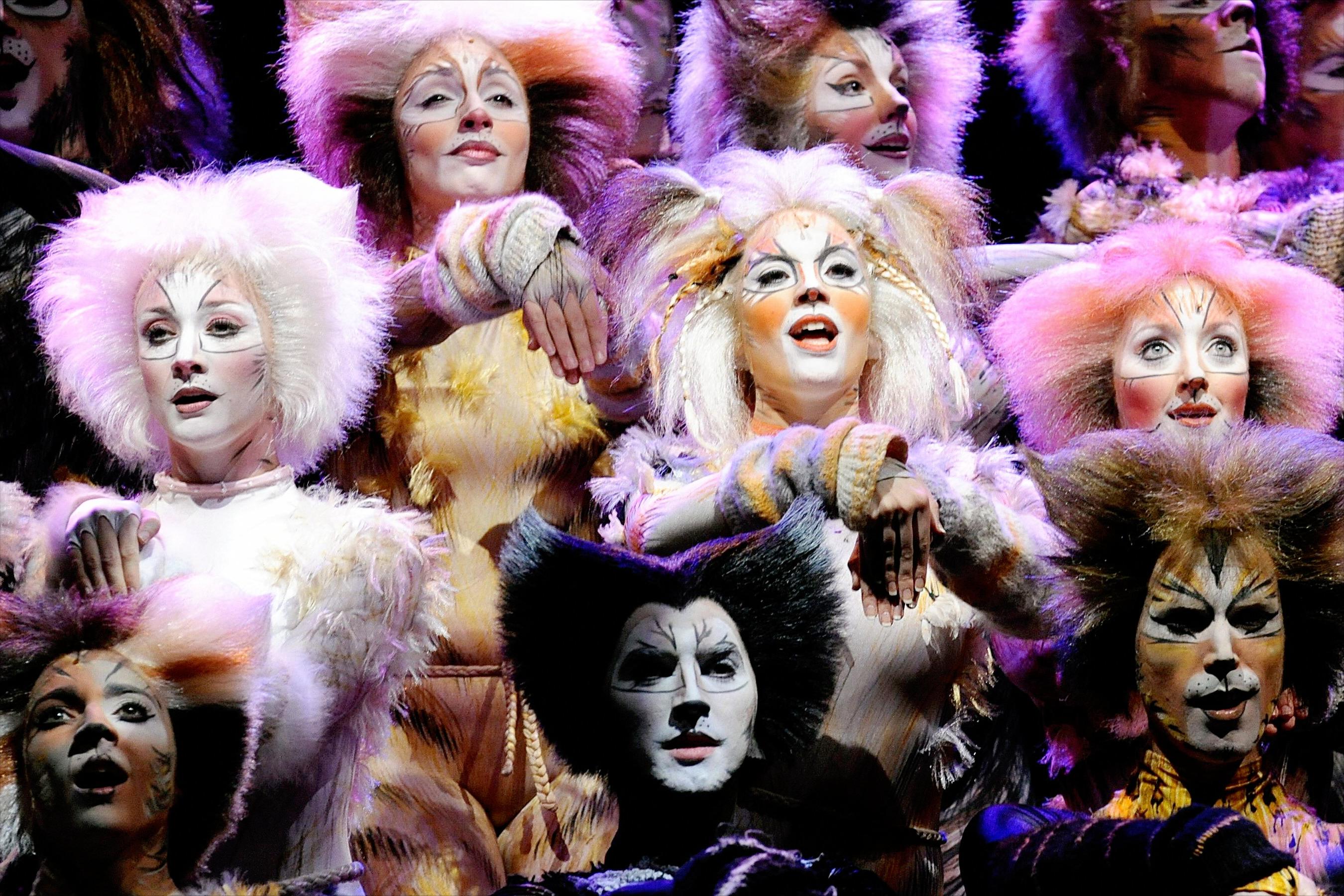 Analysis of the artistic charm of the musical "Cats" by the emotional ...