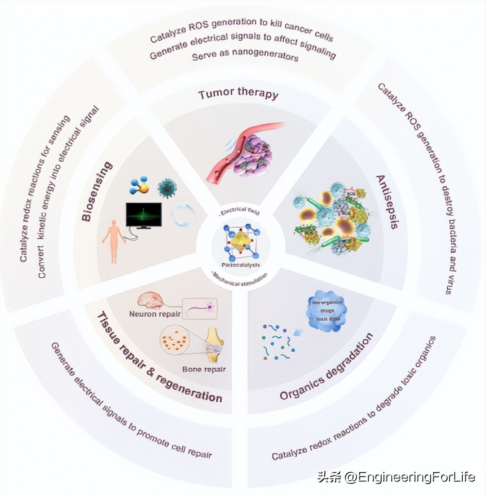Academician Shi Jianlin's latest "AM" review: piezoelectric catalysis ...