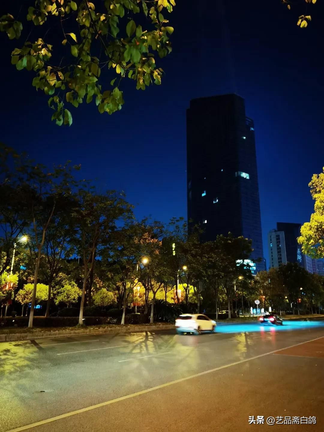 "The Autumn Night Walk and View" Wen Fanzheng - iNEWS