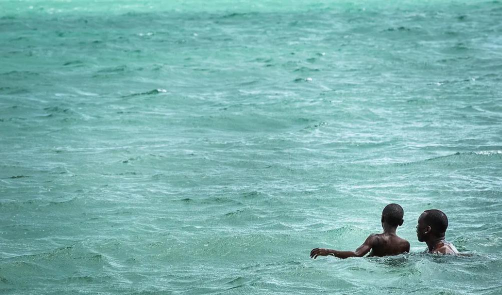 Moonlight Boy: Social Mirroring and Psychoanalysis of a Movie - iMedia