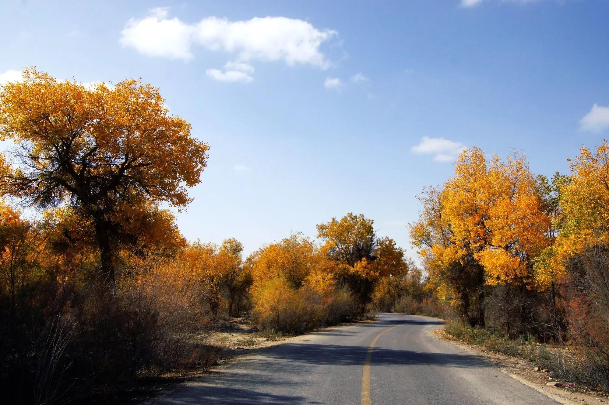 The Ancient Capital of Kucha--Kuqa Customs - iMedia