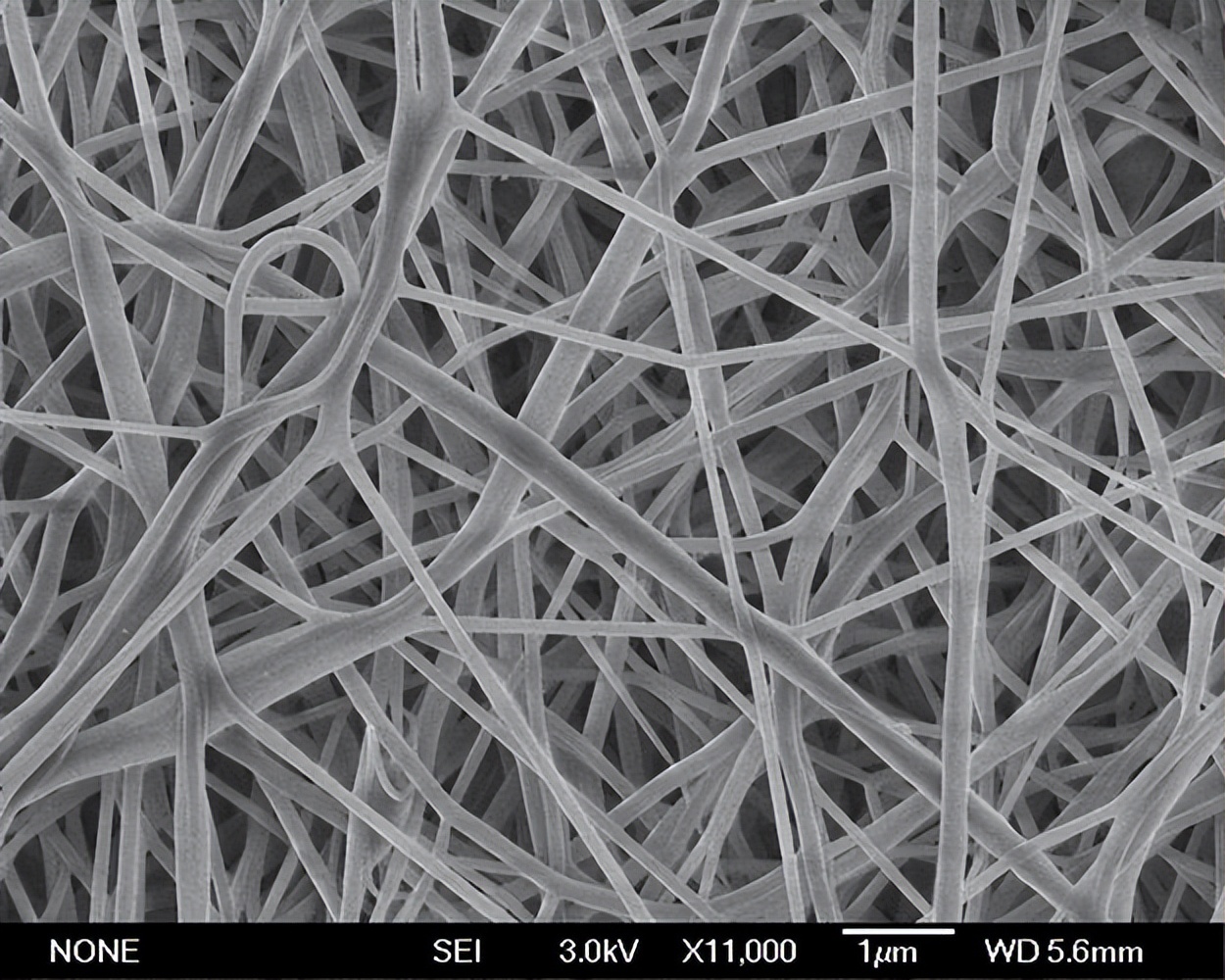 What is the effect of doping content at a certain temperature on the ...