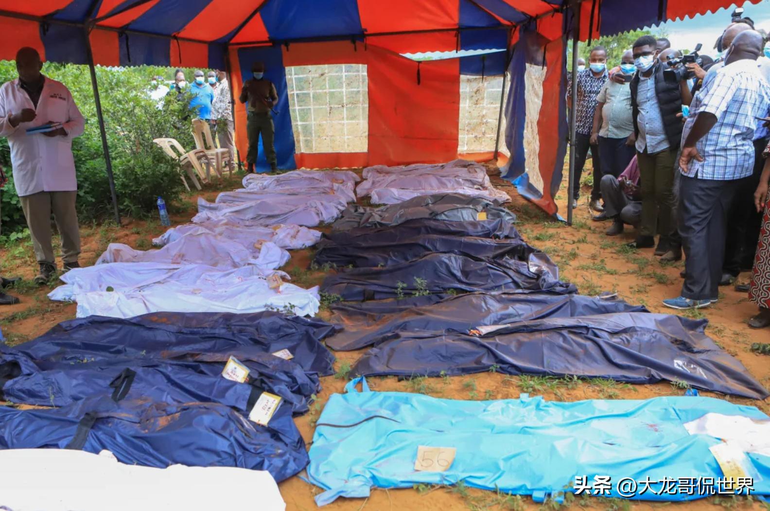 Tragedy happened in Africa, 73 people starved to death because they ...