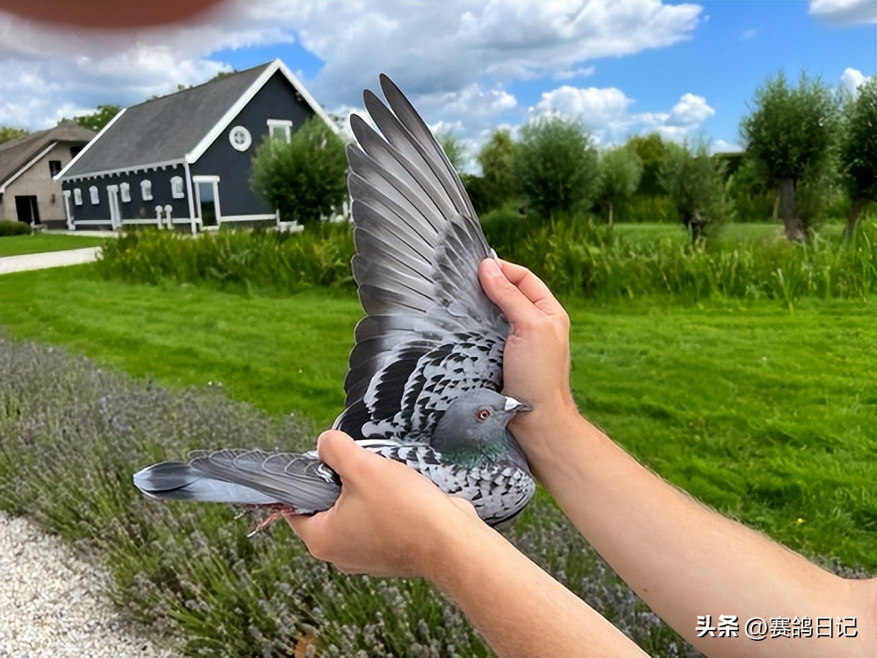 "Atlas" Walker's father and son's strong combination of "heartwarming ...