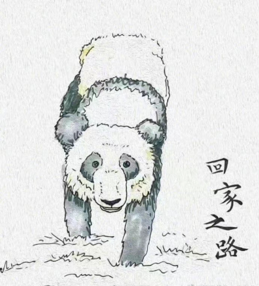 Panda Fu Wan hid in a corner after being splashed with water by ...