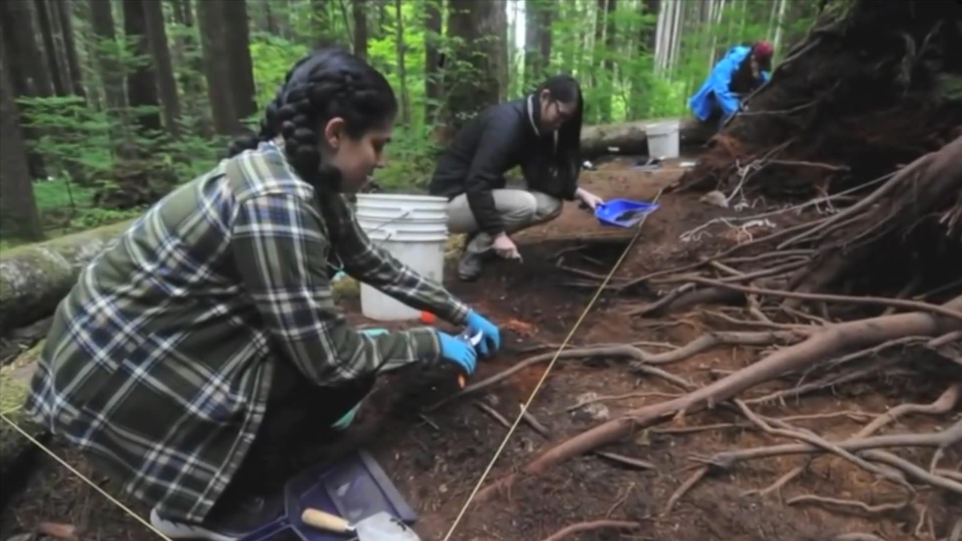 6 Amazing Discoveries, Mysterious Objects Found on the Seashore, Are ...