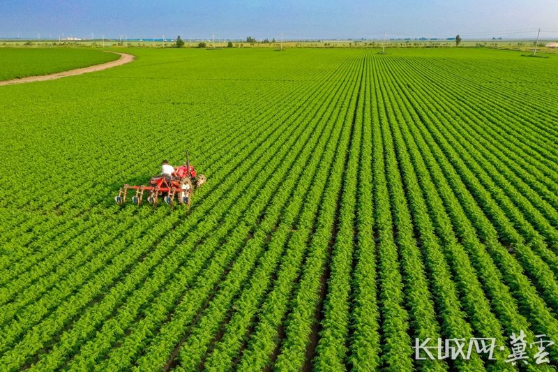 Saibei: Ecological Reconstruction of Grassland for Second Life - iNEWS