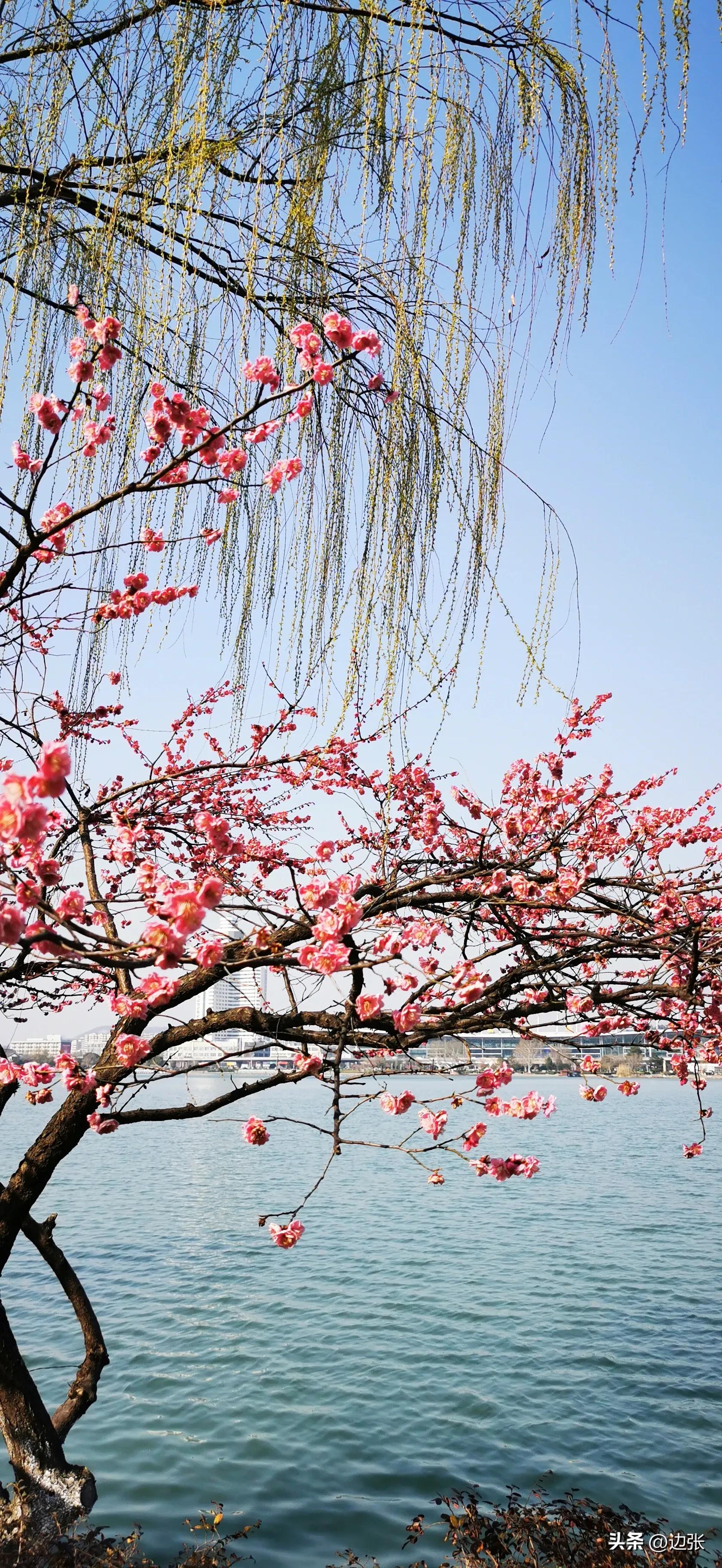 Amazing Xuanwu Lake - iNEWS