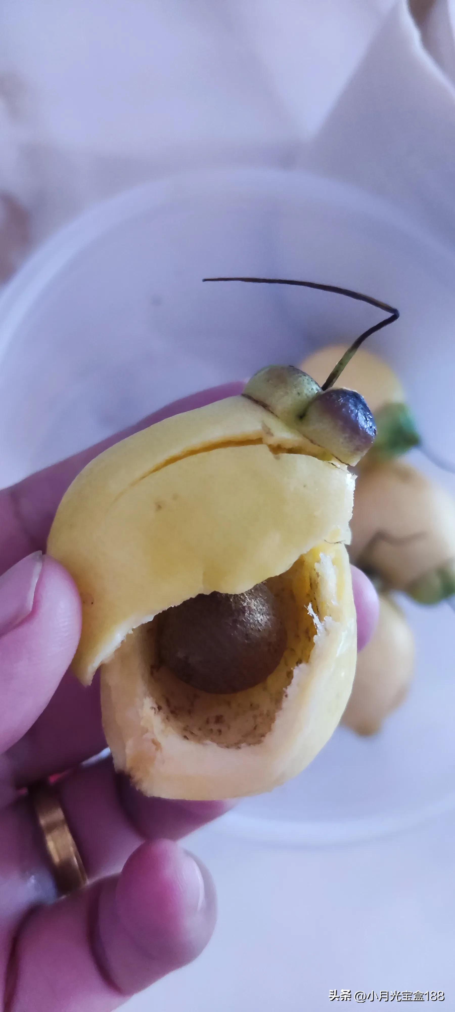 The first time to eat - hollow apple - iNEWS