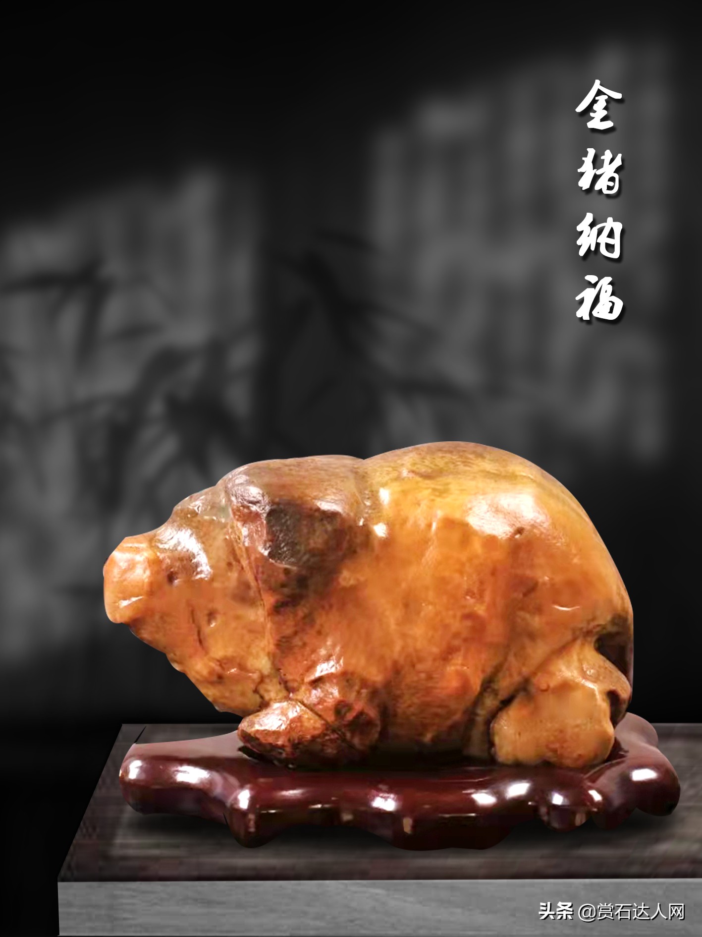 The wonderful world in the Gobi - iNEWS